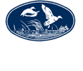 Better Banking Instructions | Chesapeake Bank